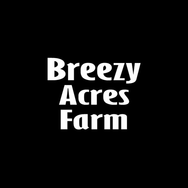 breezy-logo - WELCOME TO MONTGOMERY VT